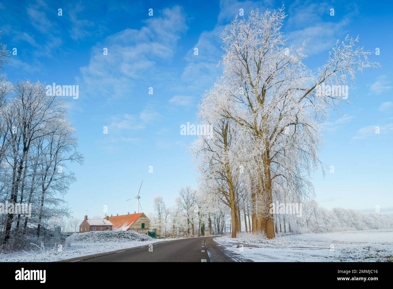 winter road in the Netherlands with white snowy frosty trees in ...
