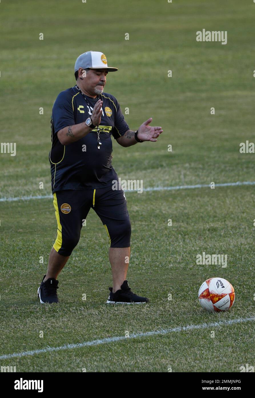 Former soccer great Diego Maradona dances on the pitch at the Dorados ...