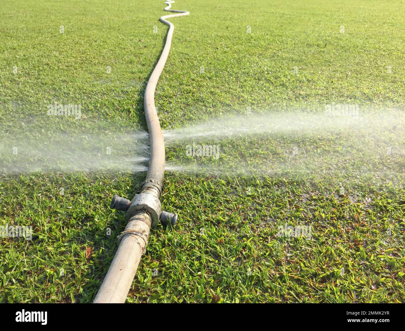 wasting water - water leaking from hole in a hose Stock Photo - Alamy