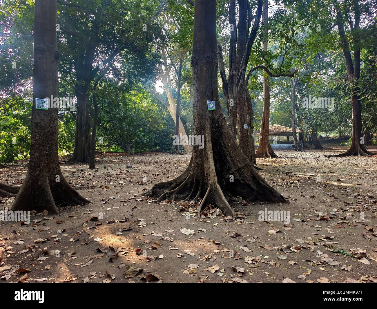 25 January 2023, Pune, India, Empress Botanical Garden, a green ...