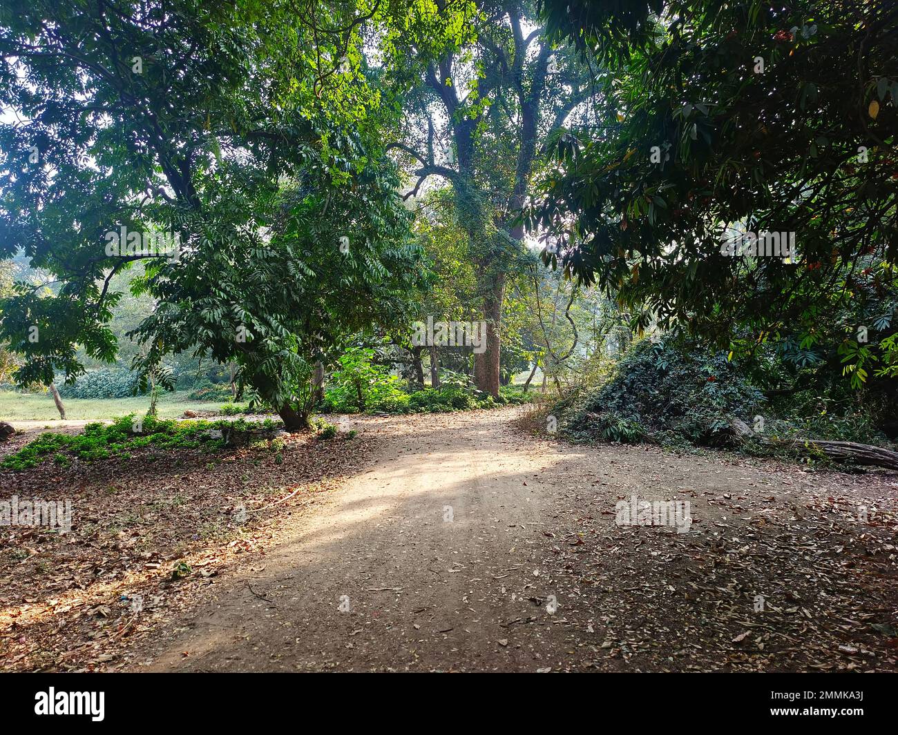 25 January 2023, Pune, India, Empress Botanical Garden, a green ...