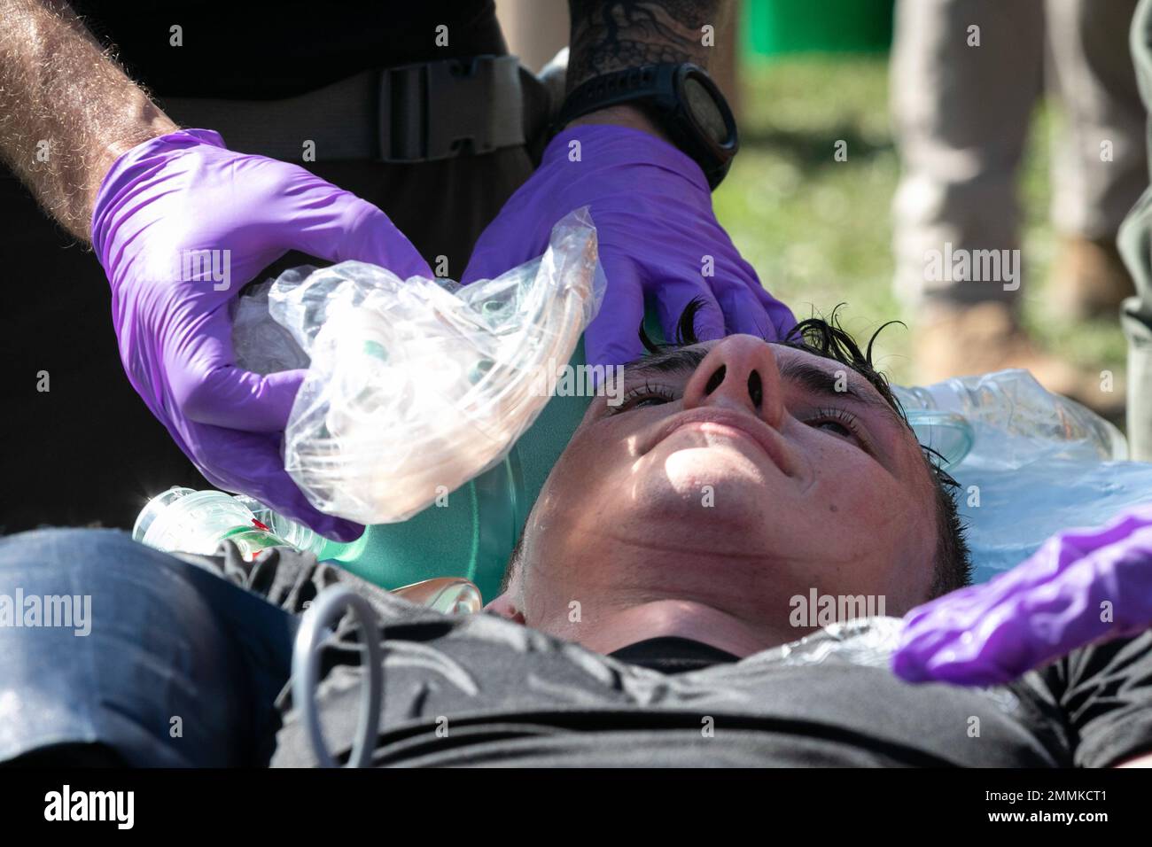 Cst plant hi-res stock photography and images - Alamy