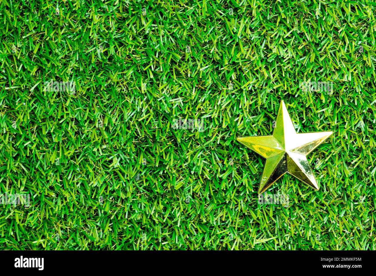 Star grass shape hi-res stock photography and images - Alamy