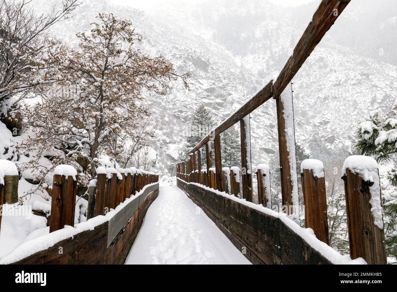 Snow-covered old wooden flume on Welch Ditch Trail in Clear Creek ...
