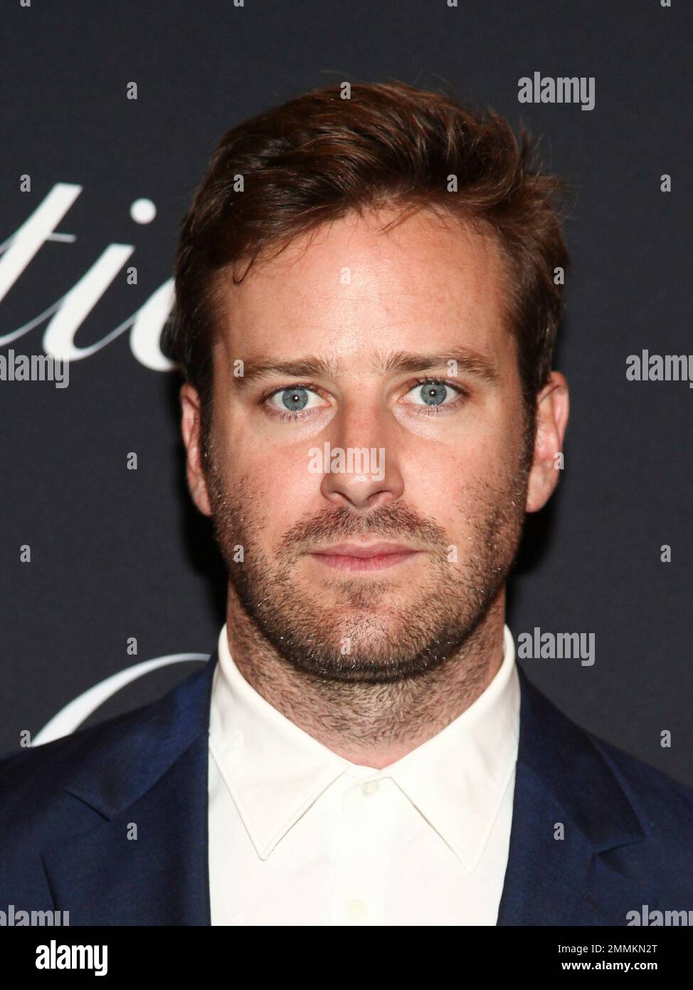 Armie Hammer attends the NYFW Spring/Summer 2019 Cartier Celebrates the ...