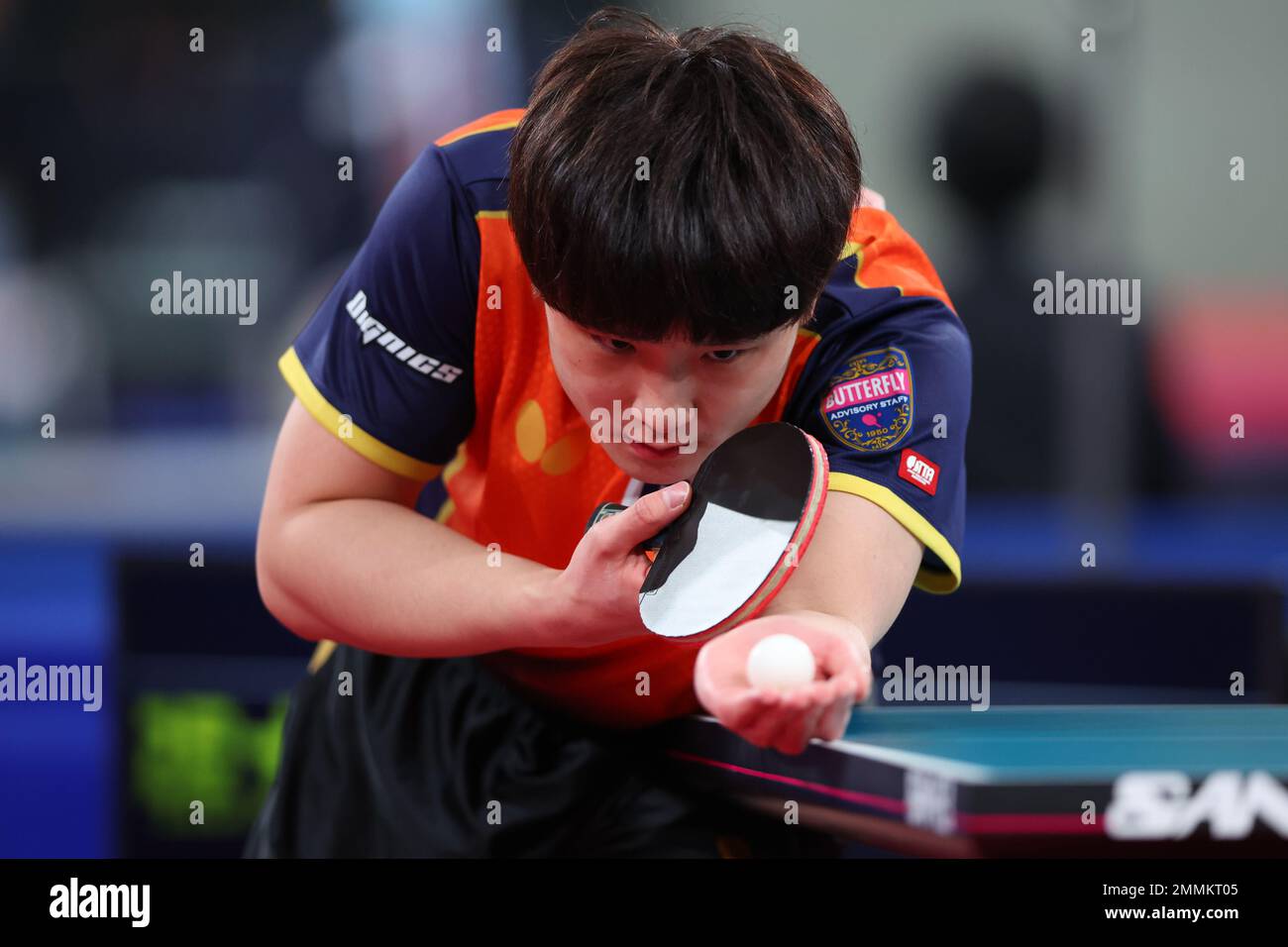 Harimoto Table Tennis – Tomokazu HARIMOTO equipment (Updated) – WAZQ