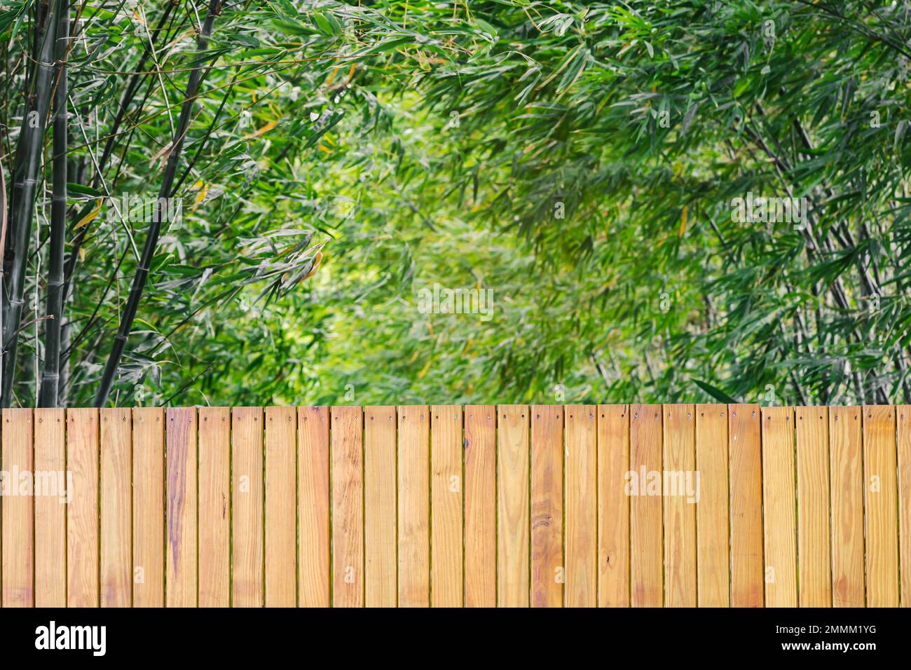 Beautiful brown wooden door decoration and blurred bamboo garden in ...