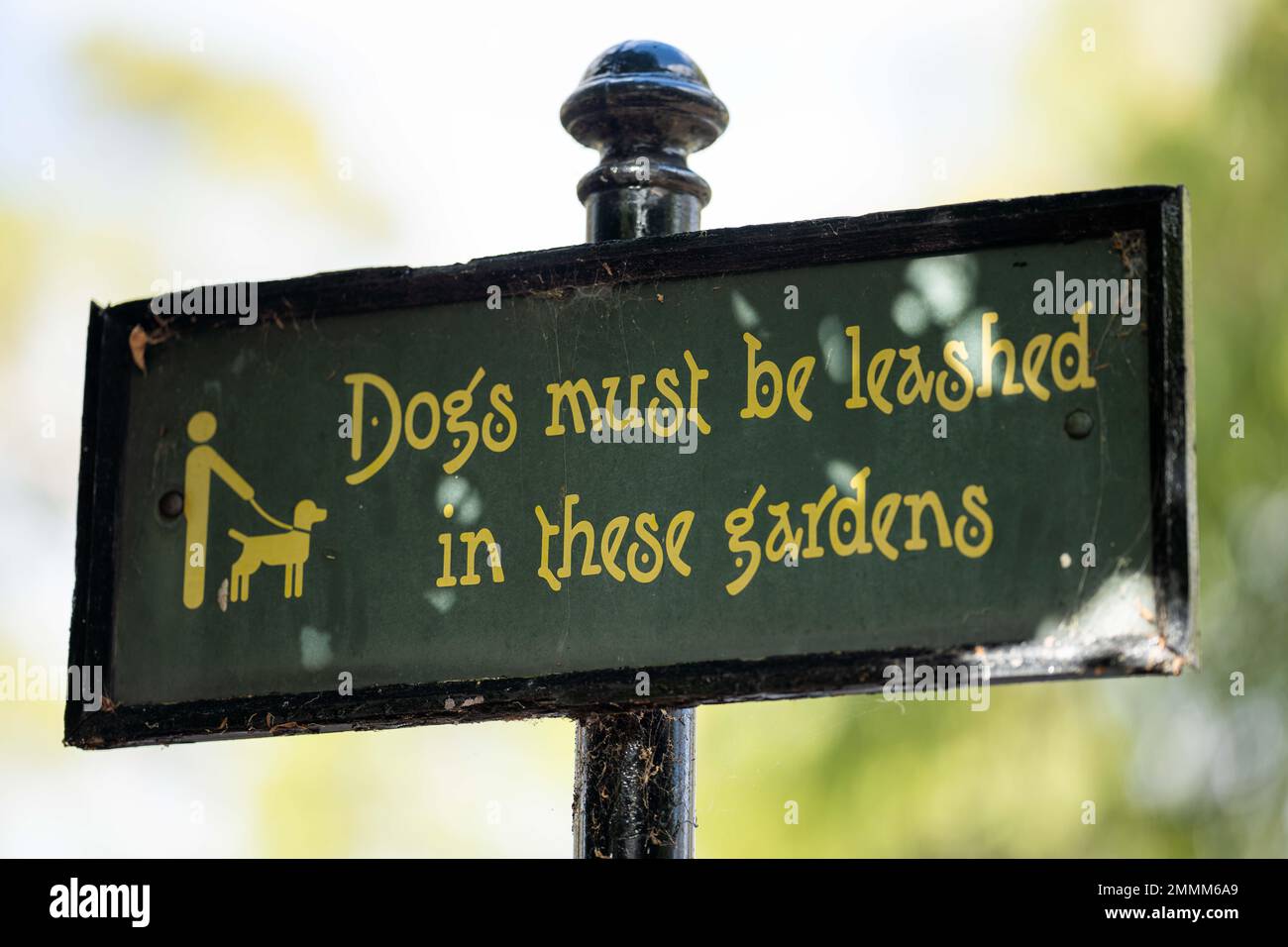 dogs on lead sign Stock Photo - Alamy