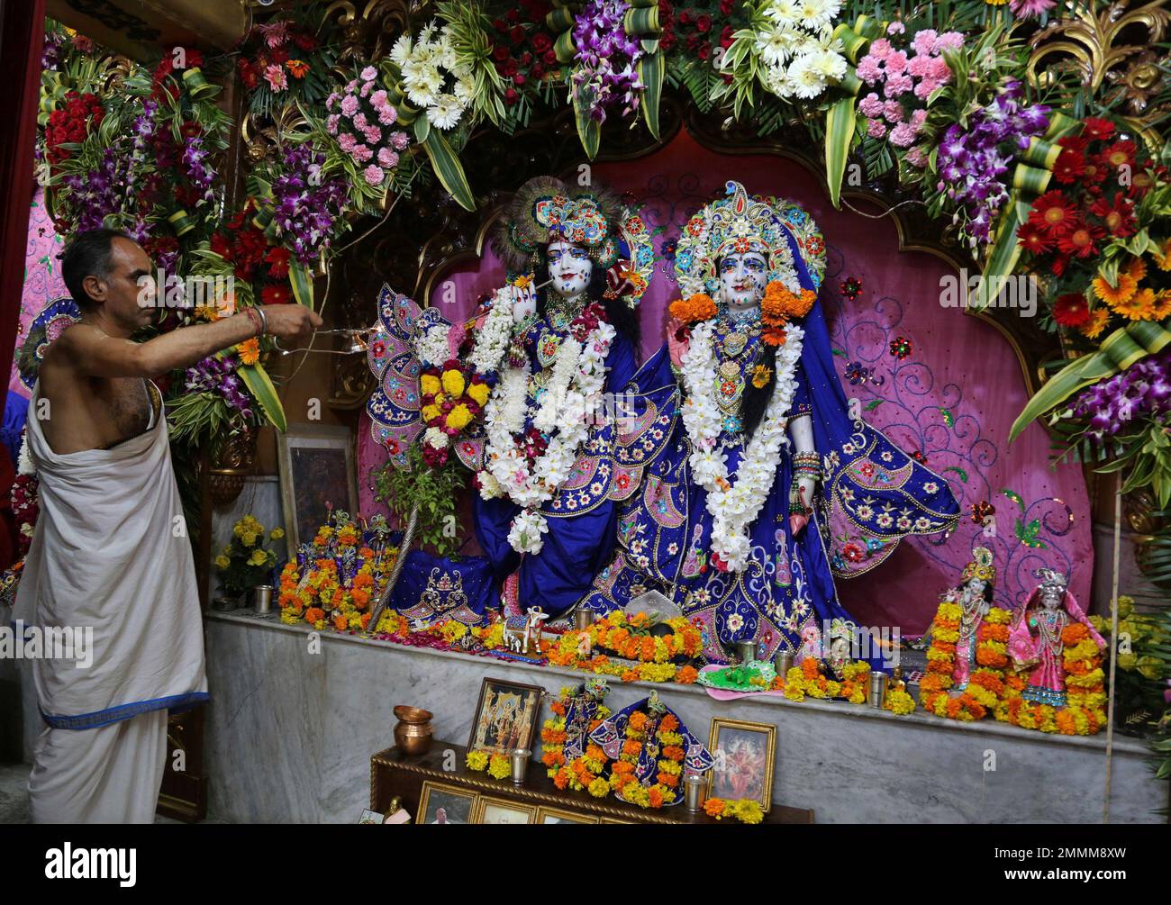 A Hindu priest worships idols of Hindu god Krishna and his consort ...