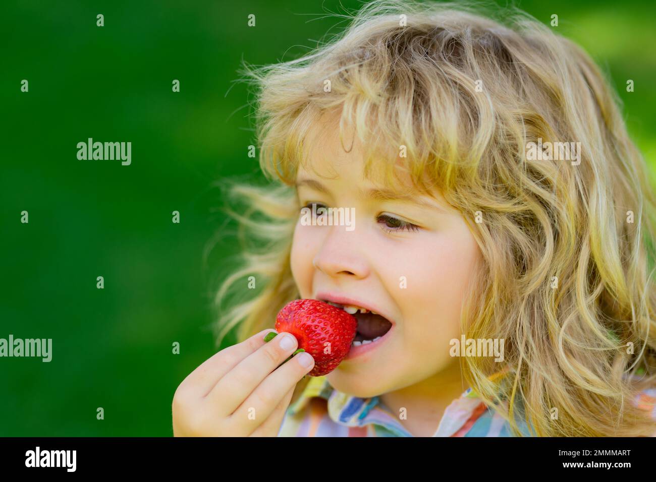 Closeup kids face with strawberry in mouth. Child eat strawberry ...