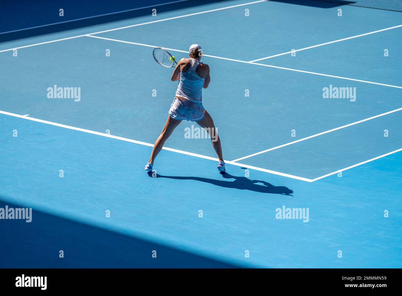 crowds watching a female Professional athlete Tennis player playing on ...