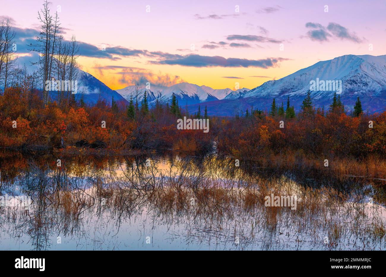 North america landscape hi-res stock photography and images - Alamy