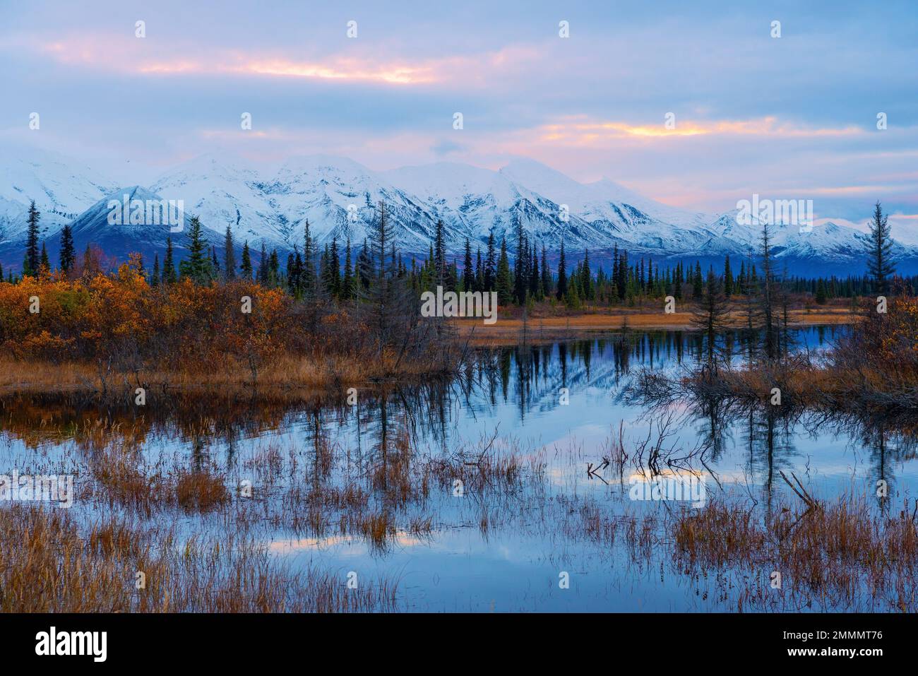 Alaska wildness hi-res stock photography and images - Alamy