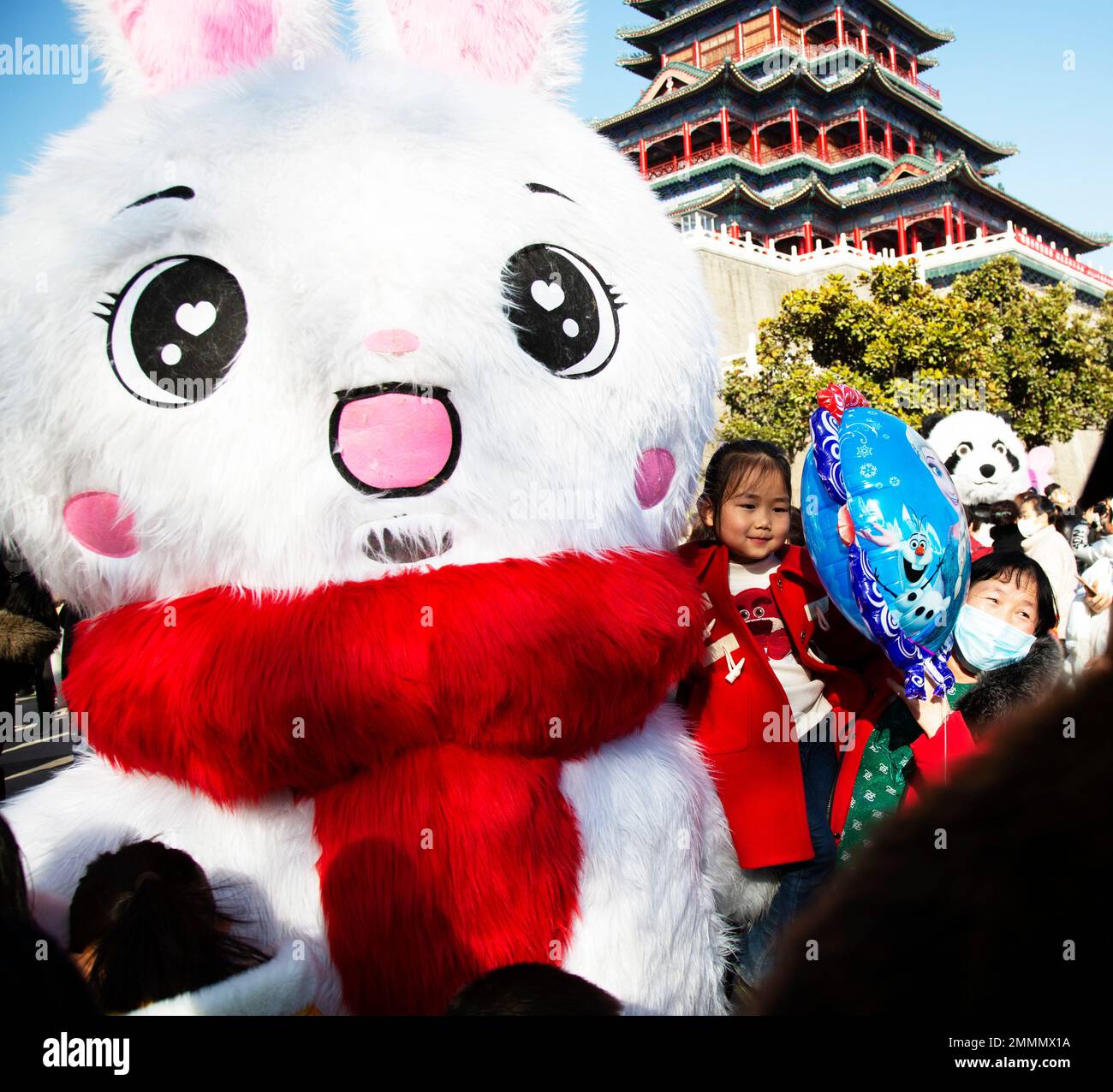 XIYANYANG, CHINA - JANUARY 29, 2023 - Visitors take photos with adorable rabbits at Qingweilou ...