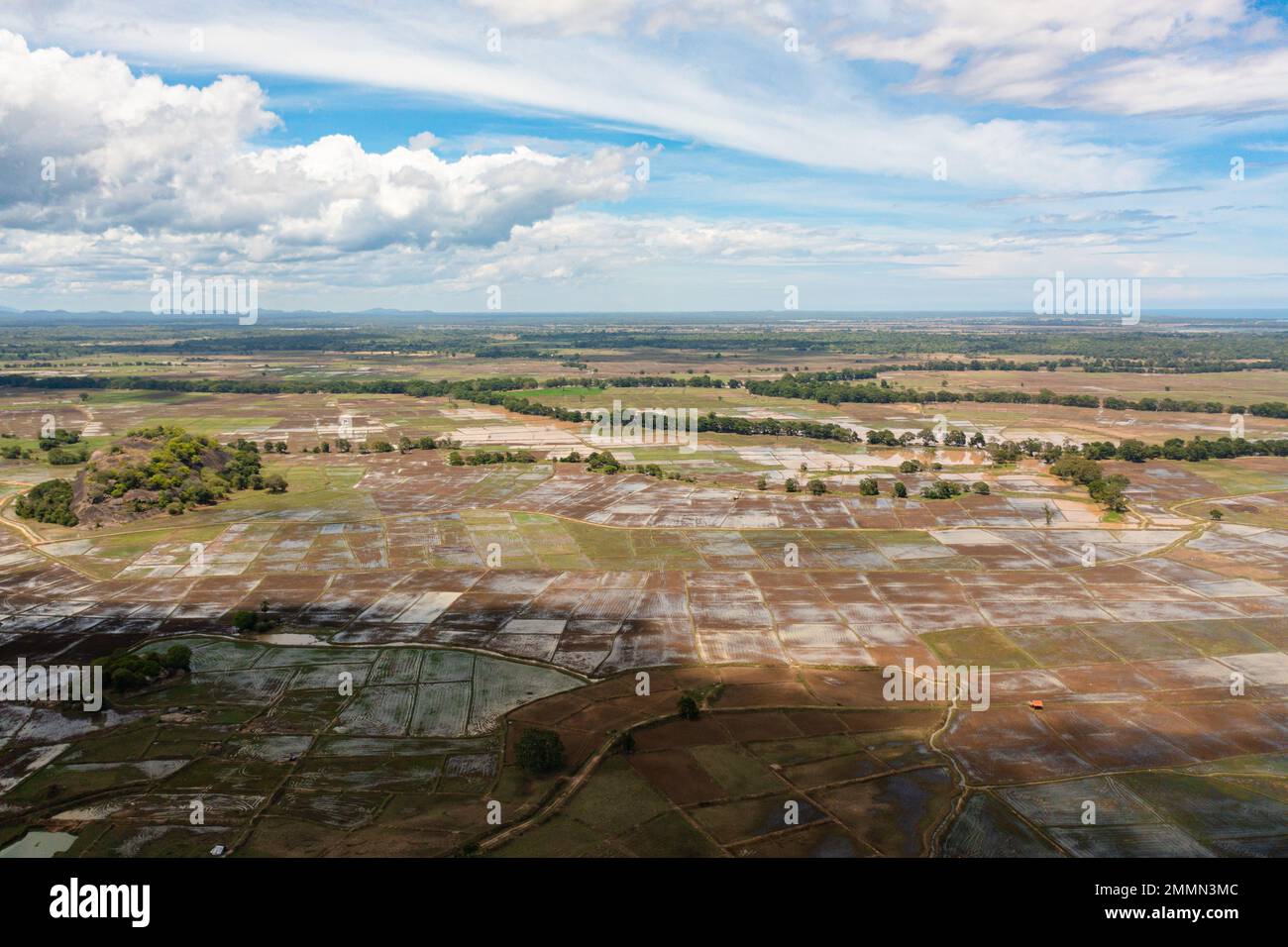 Jungle agricultural land top view hi-res stock photography and images ...