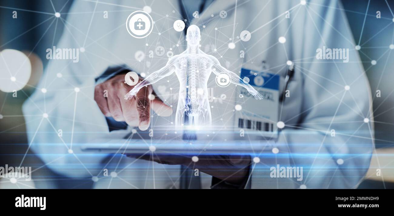 Tablet, hands or doctor with human body hologram for futuristic ...