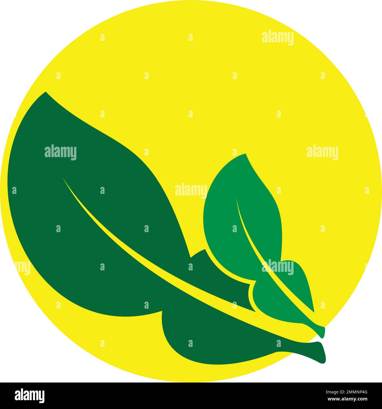 lime leaves logo illustration design Stock Vector Image & Art - Alamy