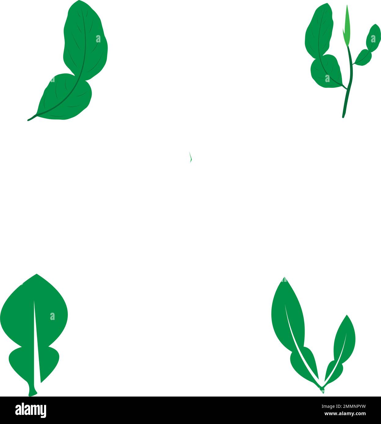 Thai lime leaves Stock Vector Images - Alamy