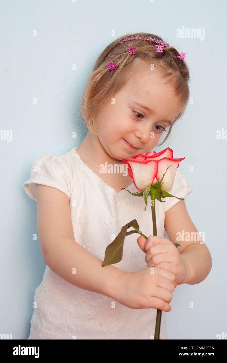 Happy little girl with her first rose Stock Photo - Alamy