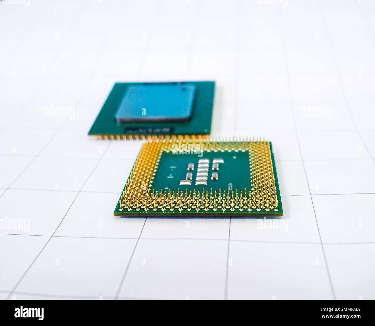 Selective focus on golden pins of computer processor on white ...