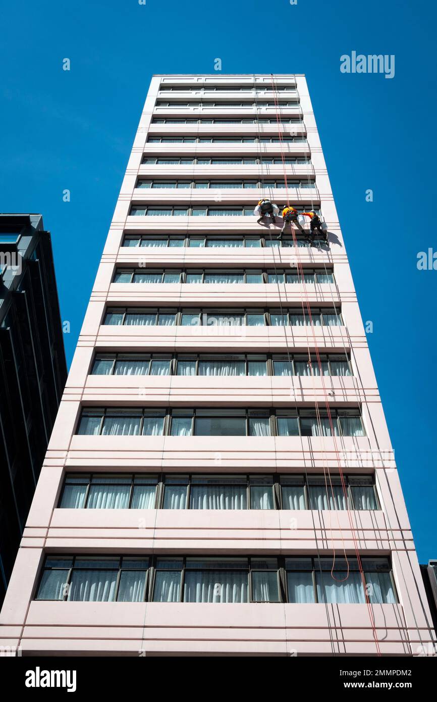 Window cleaners hanging from tall building, Wellington, North Island ...