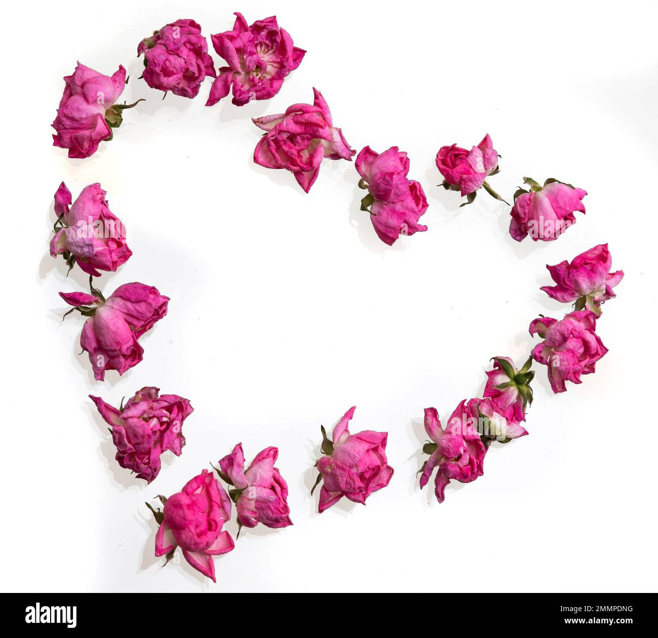 Wilted rose petals shaped into heart on white Stock Photo - Alamy