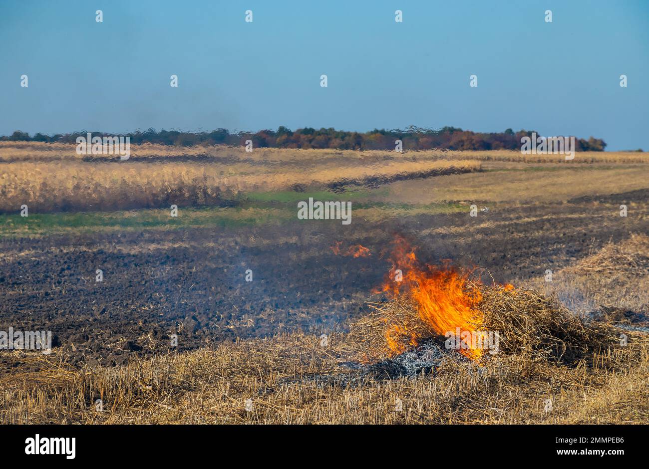 incineration of agricultural waste - smog and pollution. Harmful ... incineration of agricultural waste - smog and pollution. Harmful ...
