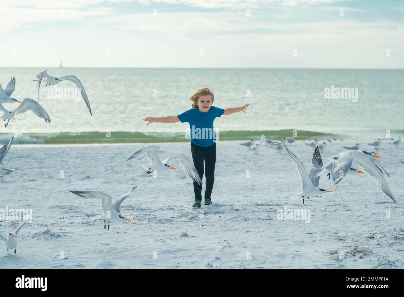 Happy amazed kid running, chasing birds. Kid runs along the coast and ...