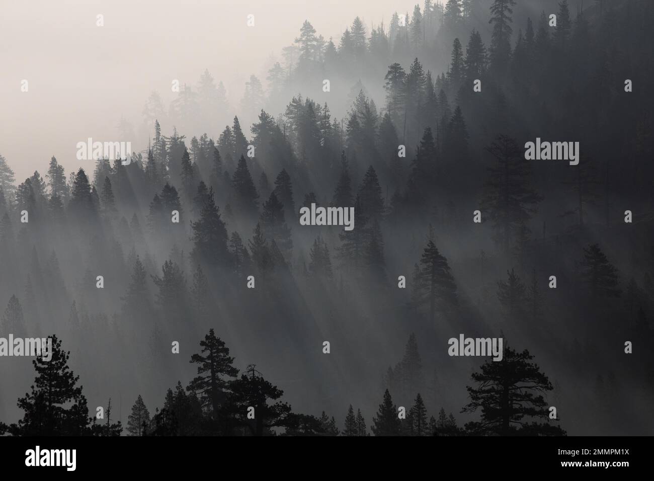 Wildfire smoke landscape hi-res stock photography and images - Alamy