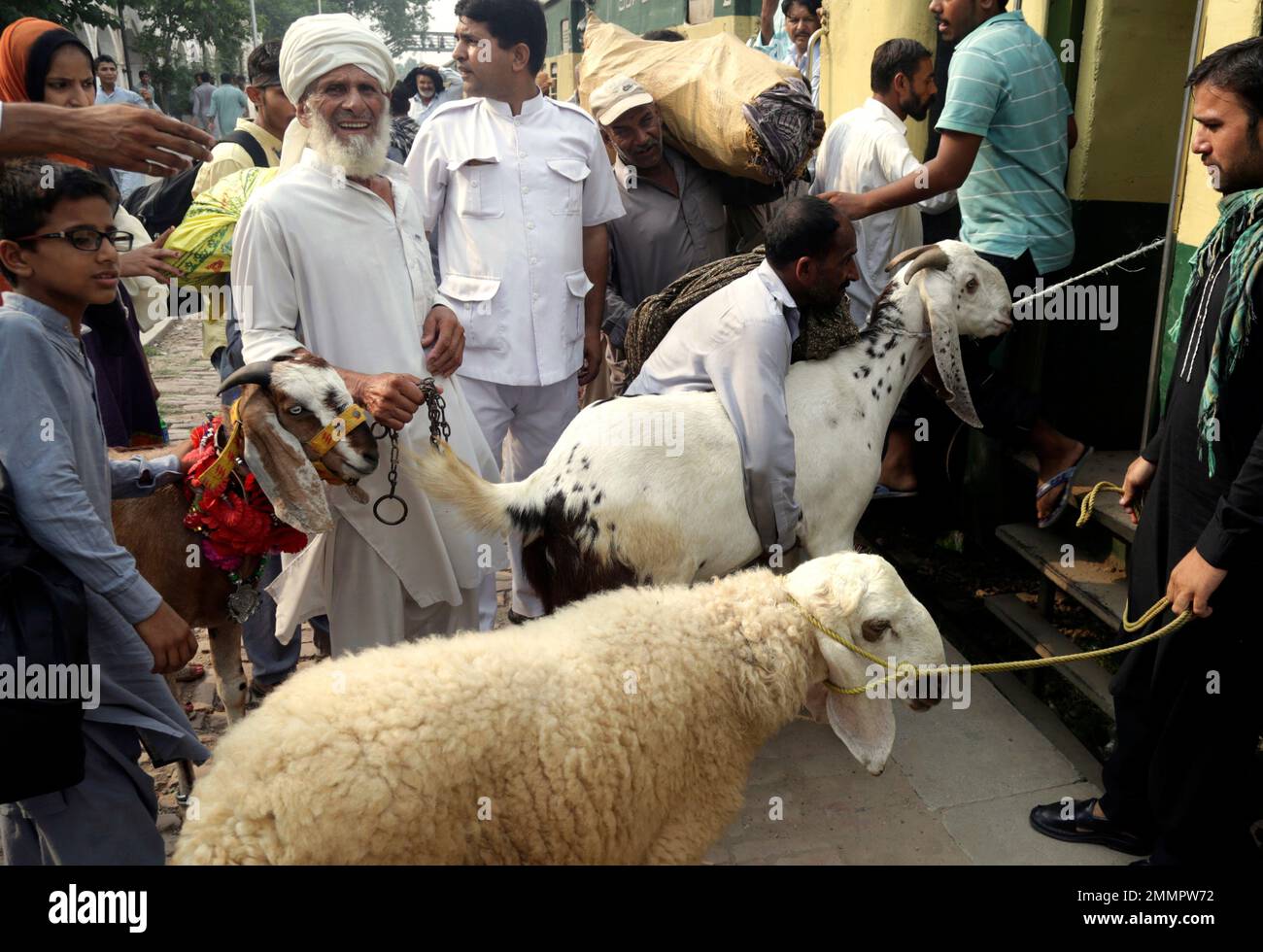 Pakistani Muslims carry their animal onto a train as they left for ...