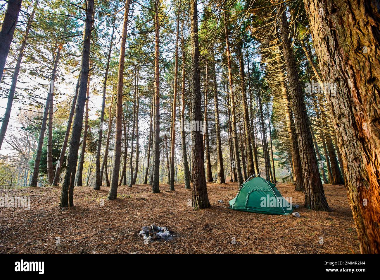 Lonely tourist tent in the autumn picturesque forest. Self-isolation in ...