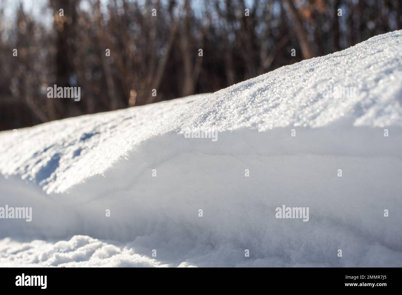 Forest after blizzard hi-res stock photography and images - Alamy