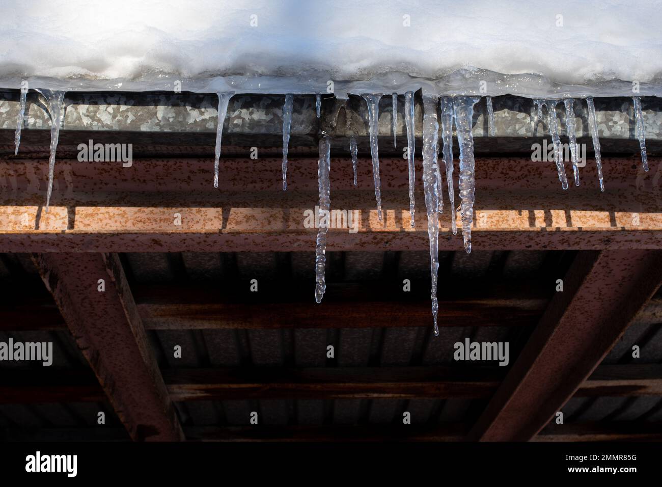 Long icicles hang from the snow-covered roof. Icicles falling danger ...