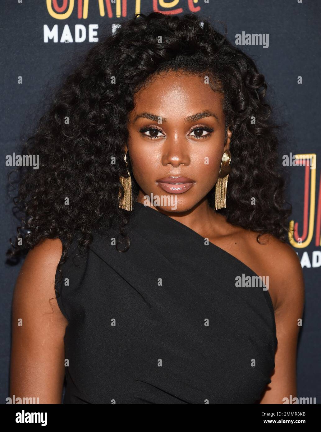 Actress Shannon Thornton attends the Janet Jackson and Daddy Yankee ...