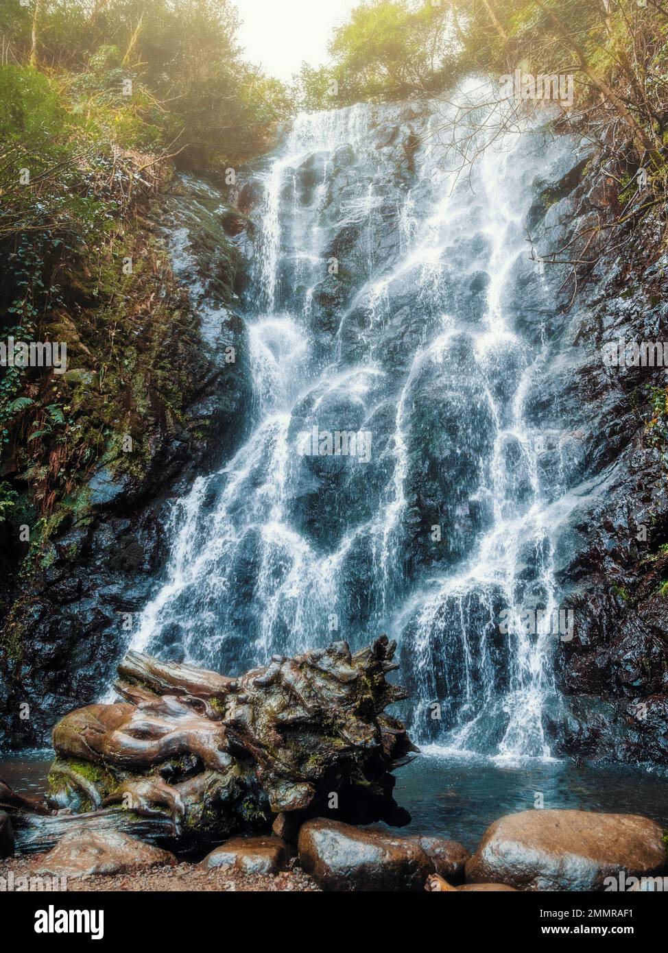 Cascade waterfall mountain stream hi-res stock photography and images ...