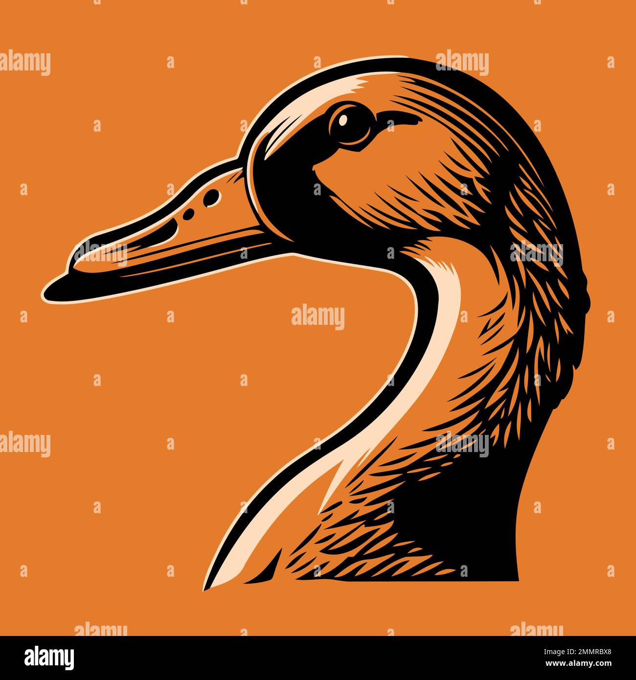 Waterfowl duck animal head vector illustration clean background Stock ...