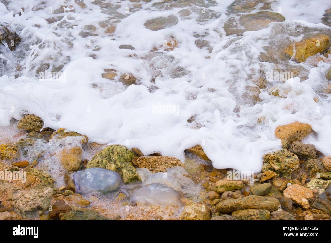 4k sea waves on misty hi-res stock photography and images - Alamy