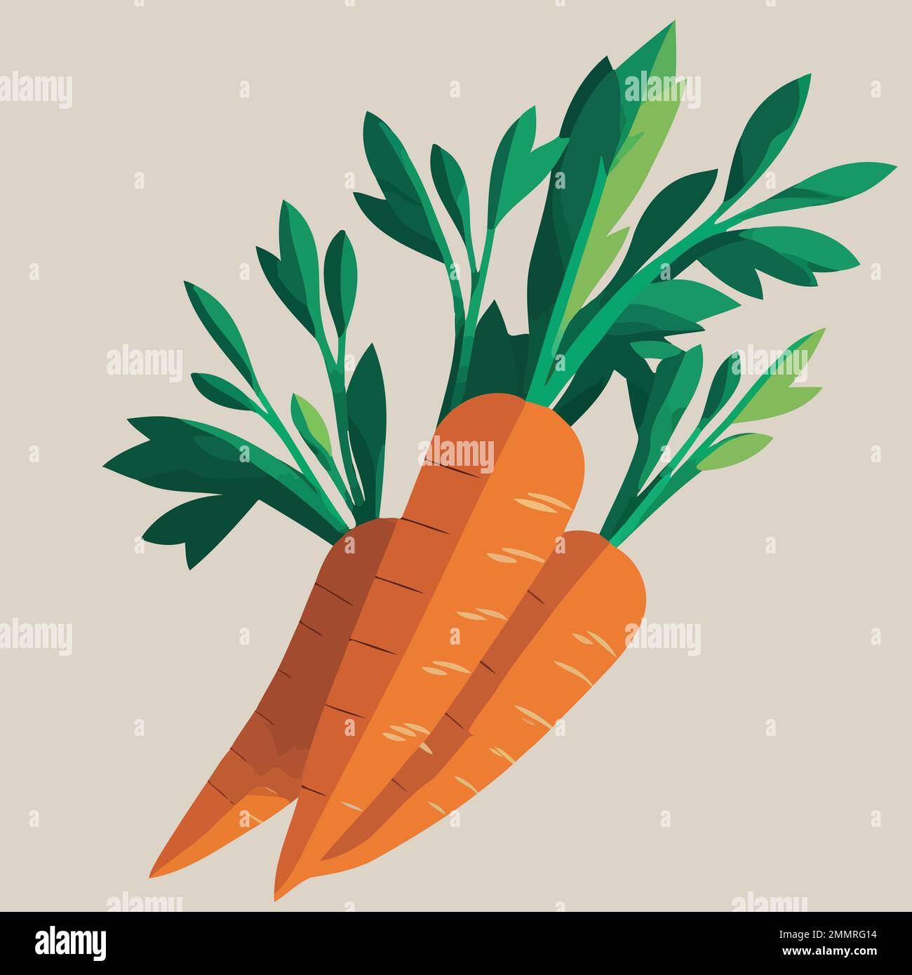 Vector illustration of root vegetable carrots orange color and green ...