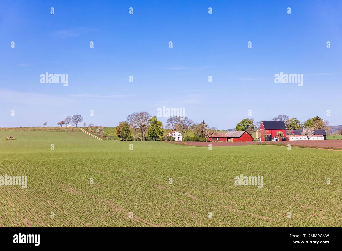 Green fields farm house hi-res stock photography and images - Alamy