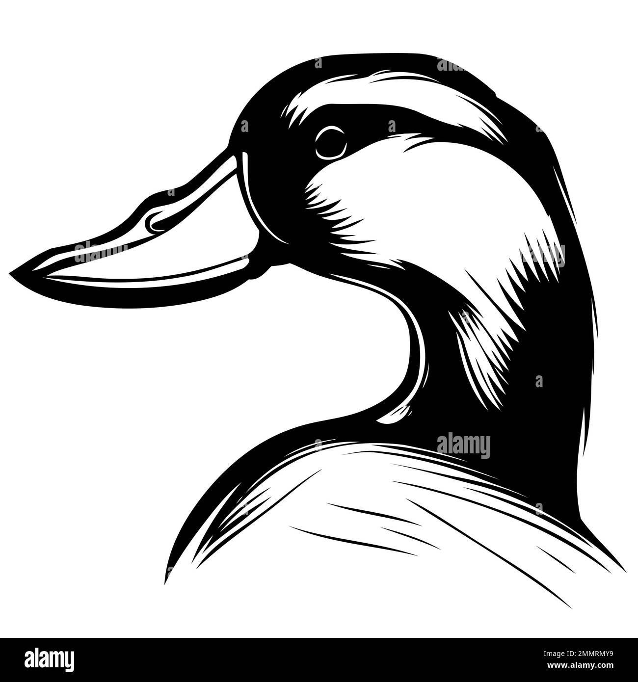 Waterfowl duck animal head vector illustration clean background Stock ...