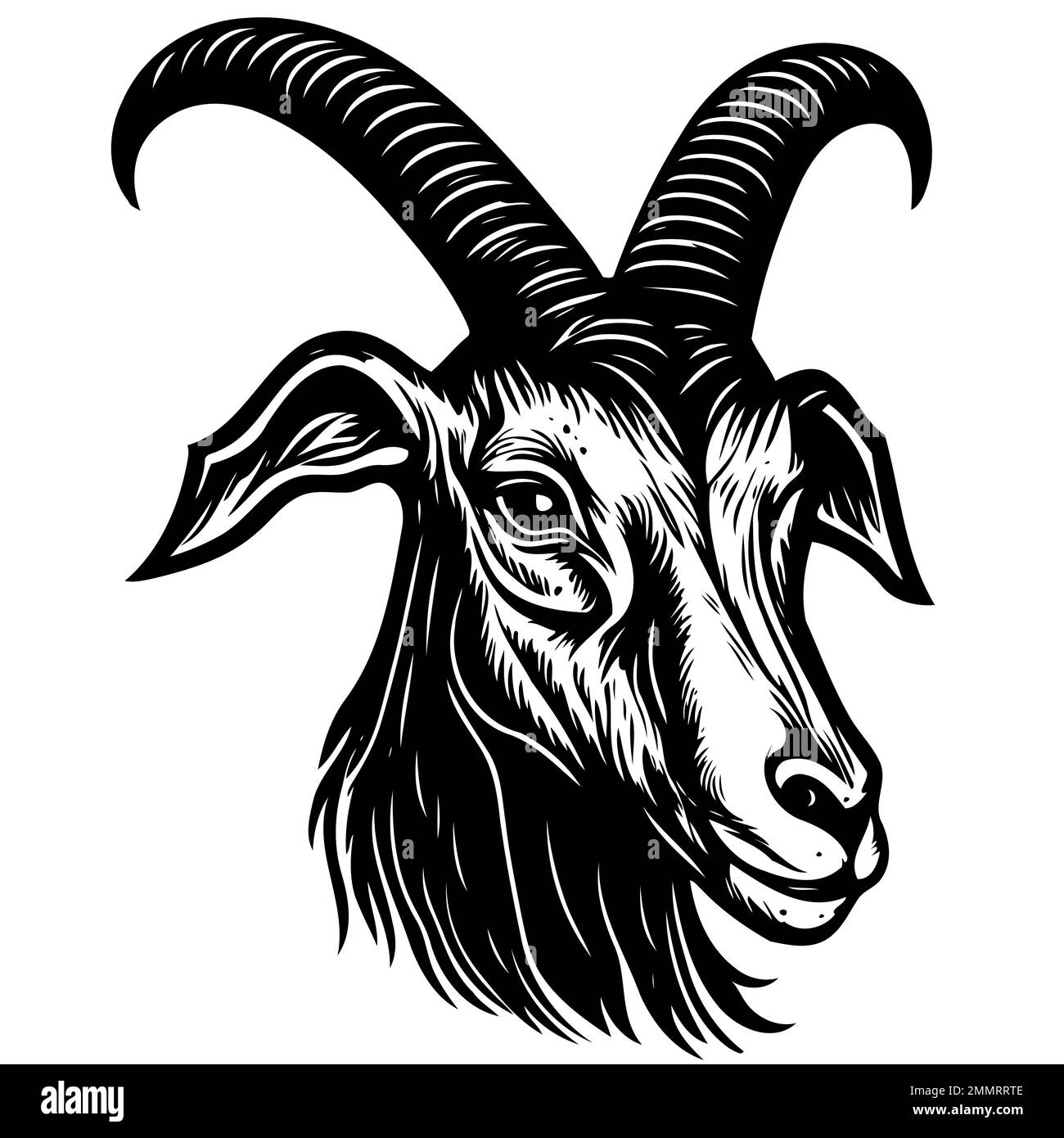 Vector illustration of animal head domestic goat of the species Capra ...