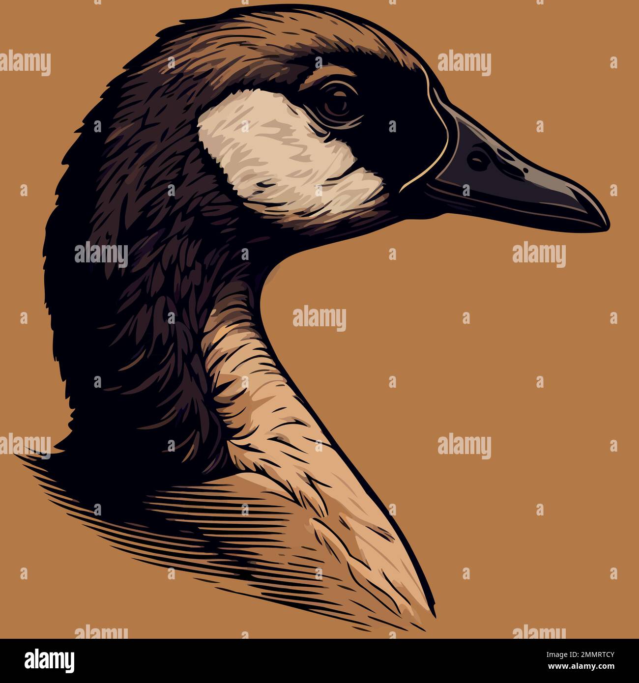 Vector illustration of animal head goose a waterfowl bird species of ...