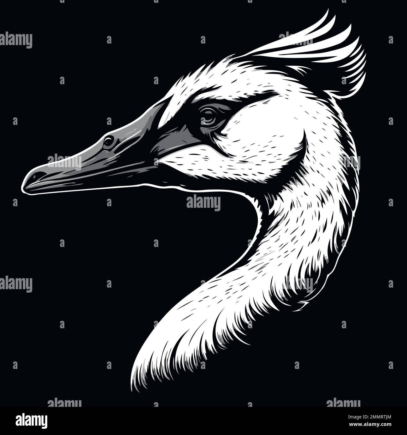 Vector illustration of animal head goose a waterfowl bird species of ...