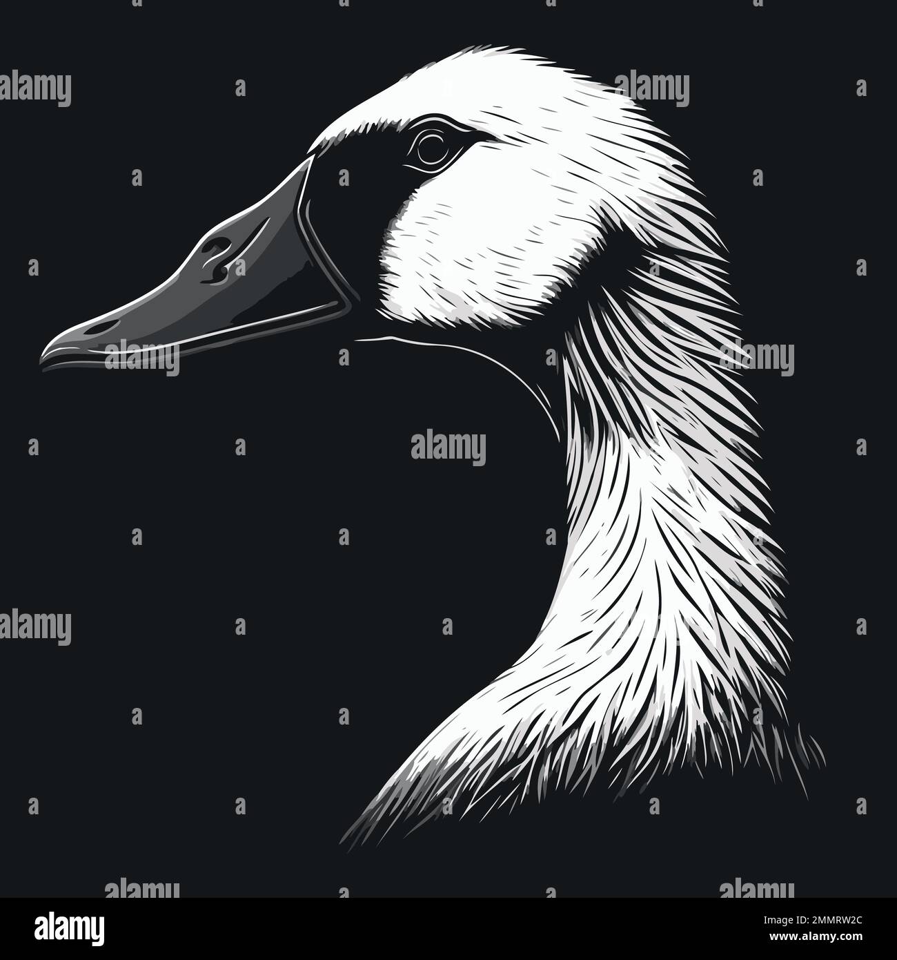 Vector illustration of animal head goose a waterfowl bird species of ...