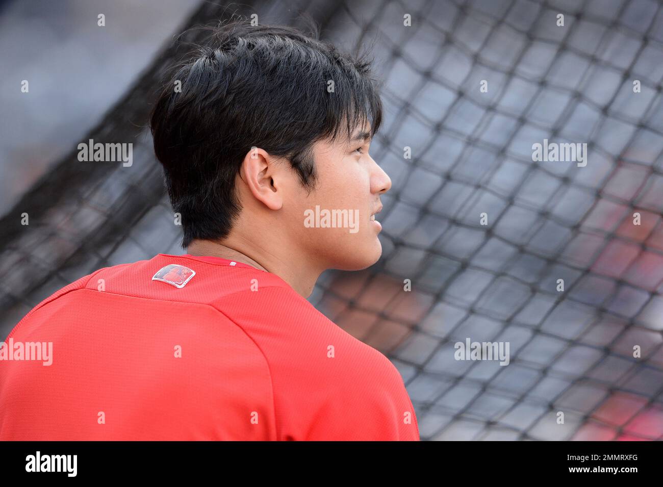 Los Angeles Angels' Shohei Ohtani, of Japan, looks on during batting ...