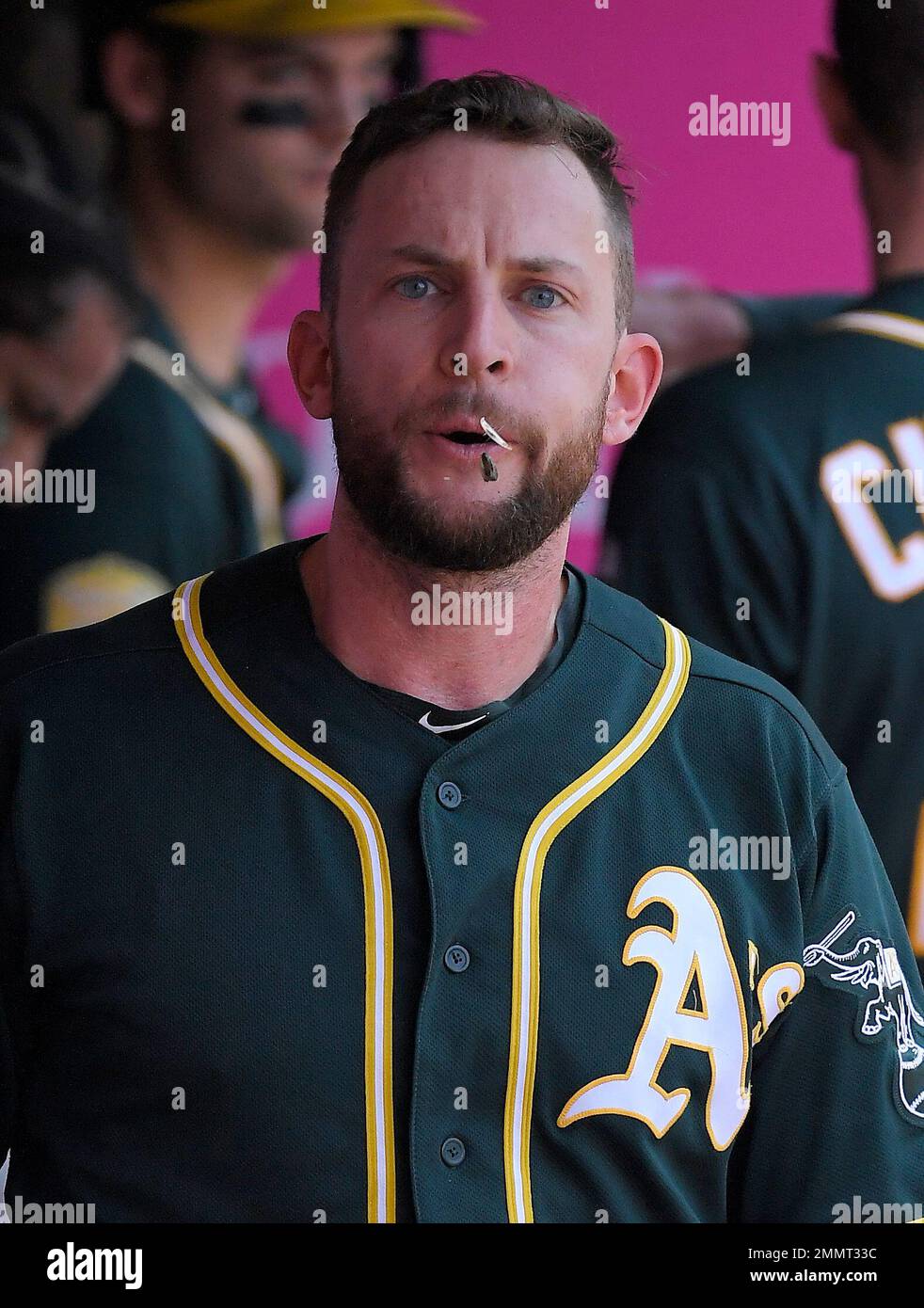 Oakland Athletics' Jed Lowrie spits seeds in the dugout during the ...