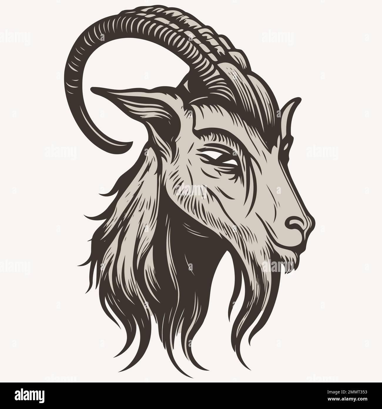 Vector illustration of animal head domestic goat of the species Capra ...