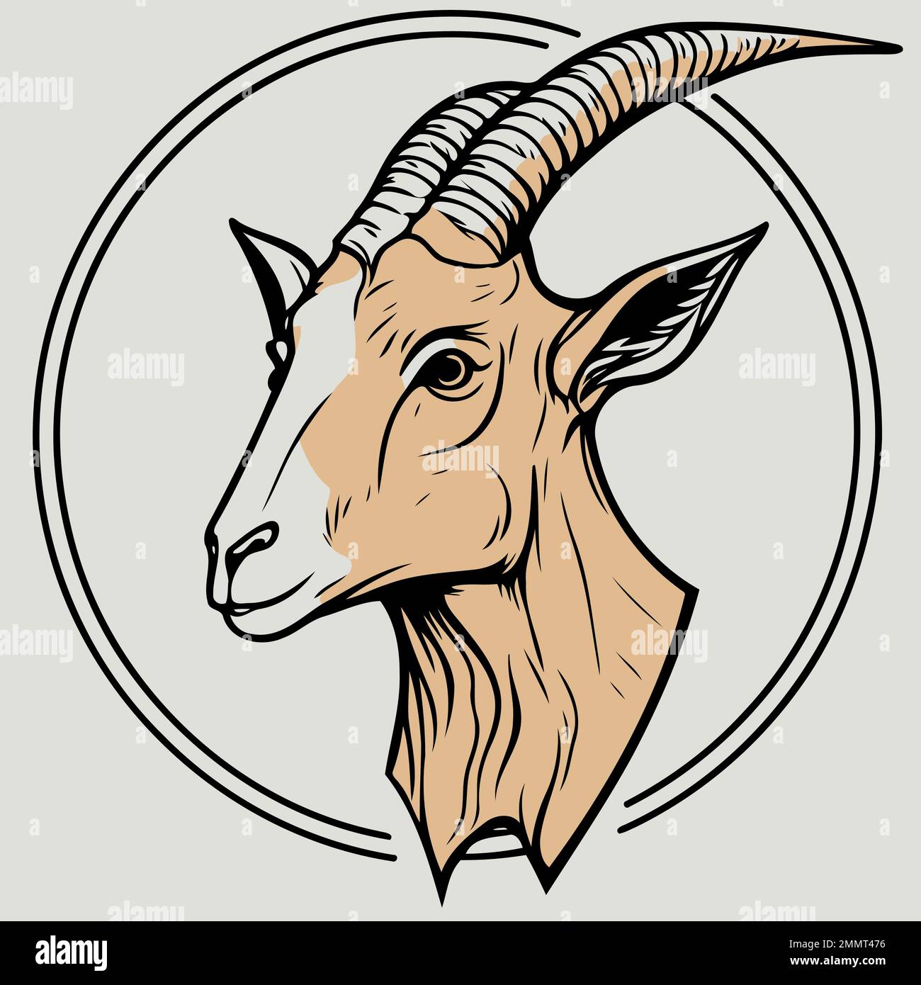 Vector illustration of animal head domestic goat of the species Capra ...