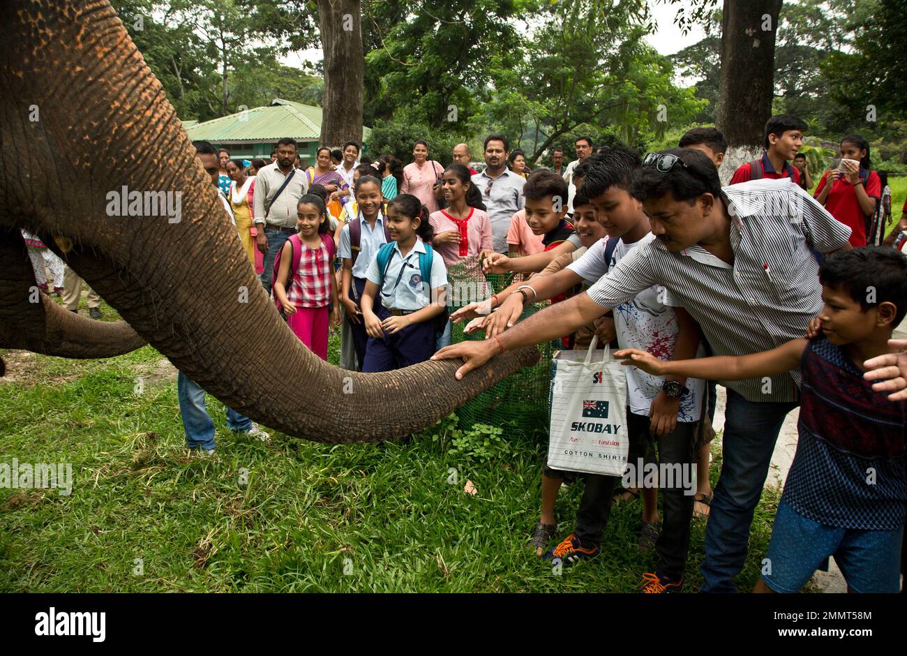 School children touch a female elephant and a calf during an event to ...