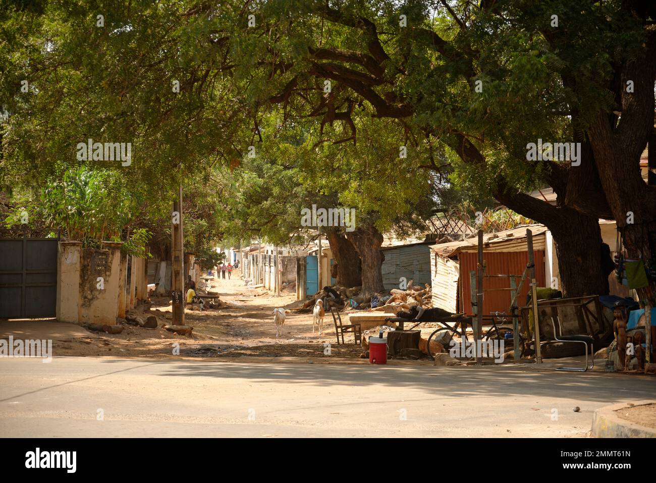 Street scene in The Gambia, West Africa. A sub tropical warm and sunny ...